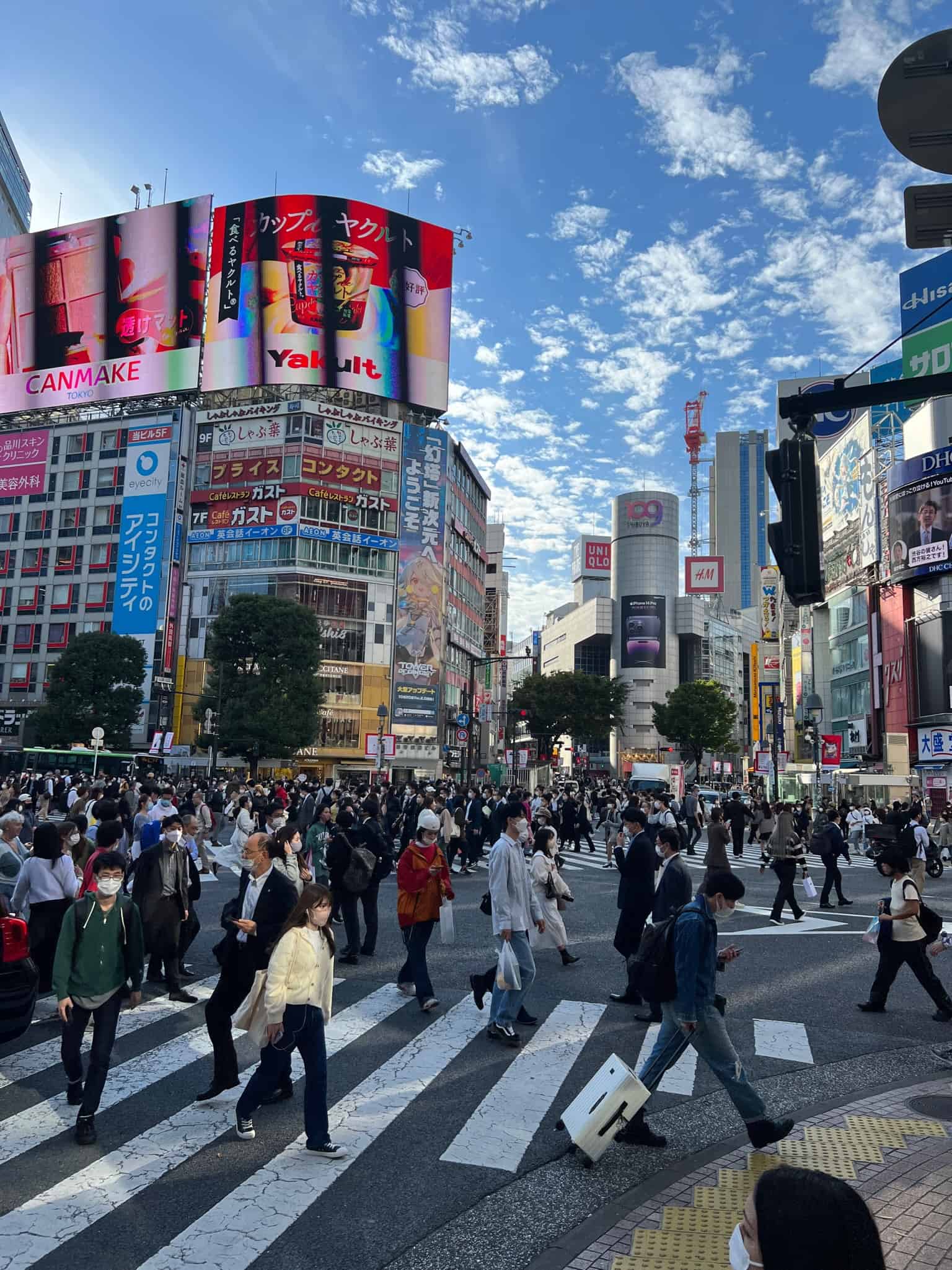Meine neue Liebe: Japan! - Elena Lustig Yoga - Pro Age Yoga by Elena Lustig